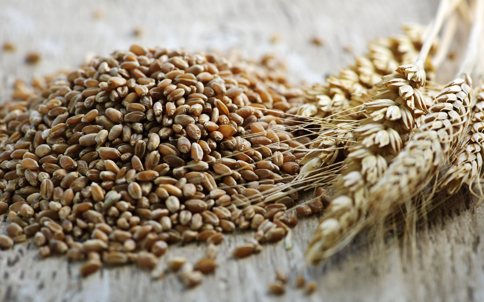 Fuldkorn - Hvad er det, og hvorfor er det sundt? | SPIS BEDRE