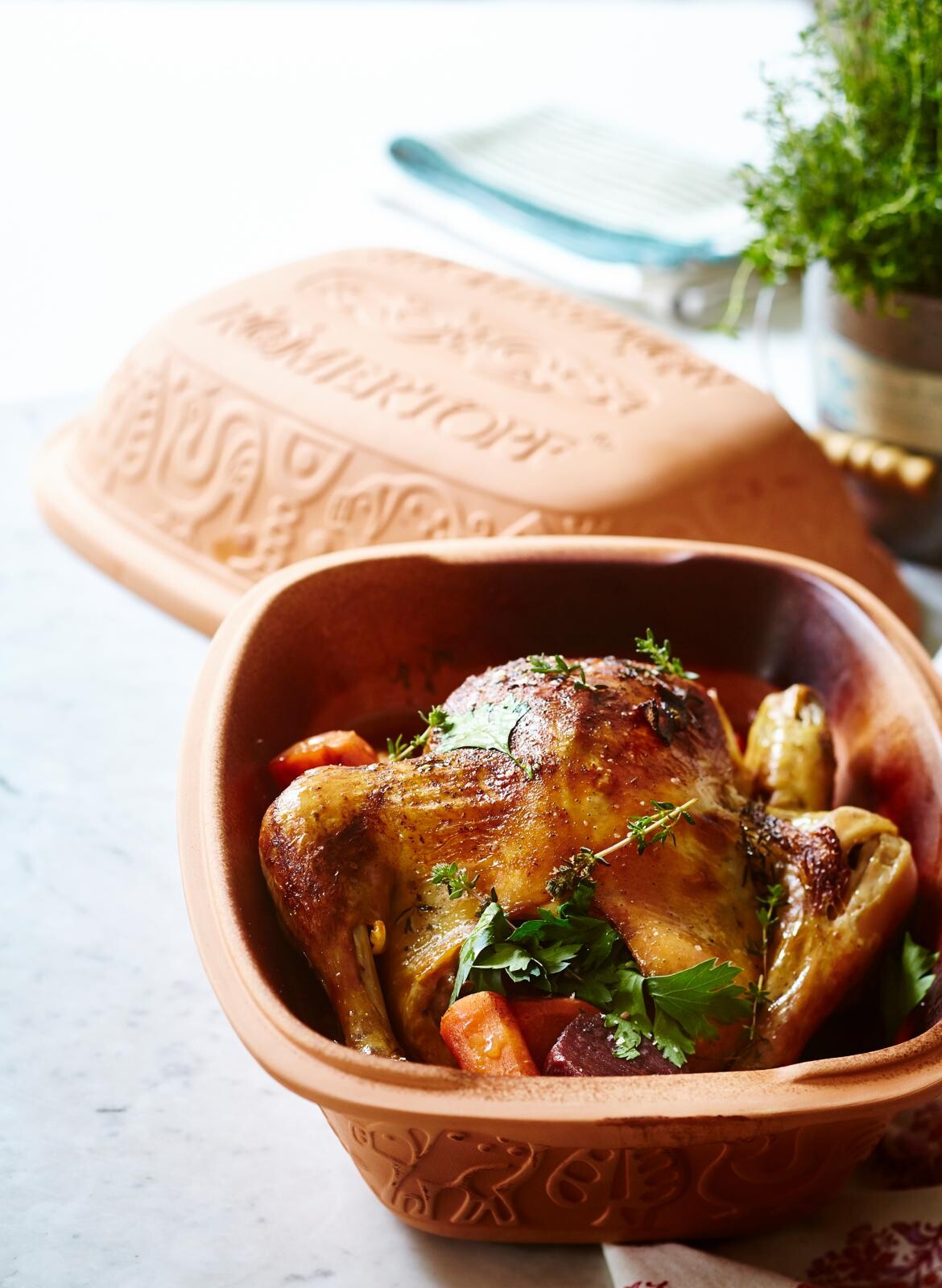 Guide: Vælg den bedste stegeso